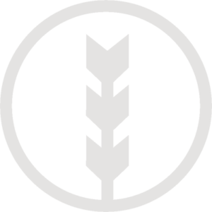 Wines & Cocktails – Clam Lake Beer Company